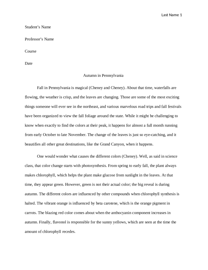 Descriptive Essay Examples Sample ️ Bookwormlab.com